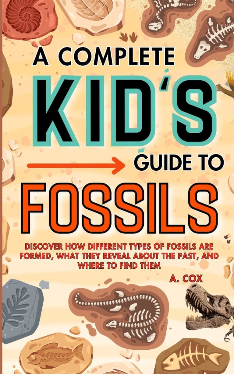 A Complete Kid’s Guide to Fossils: Discover how different types of ...