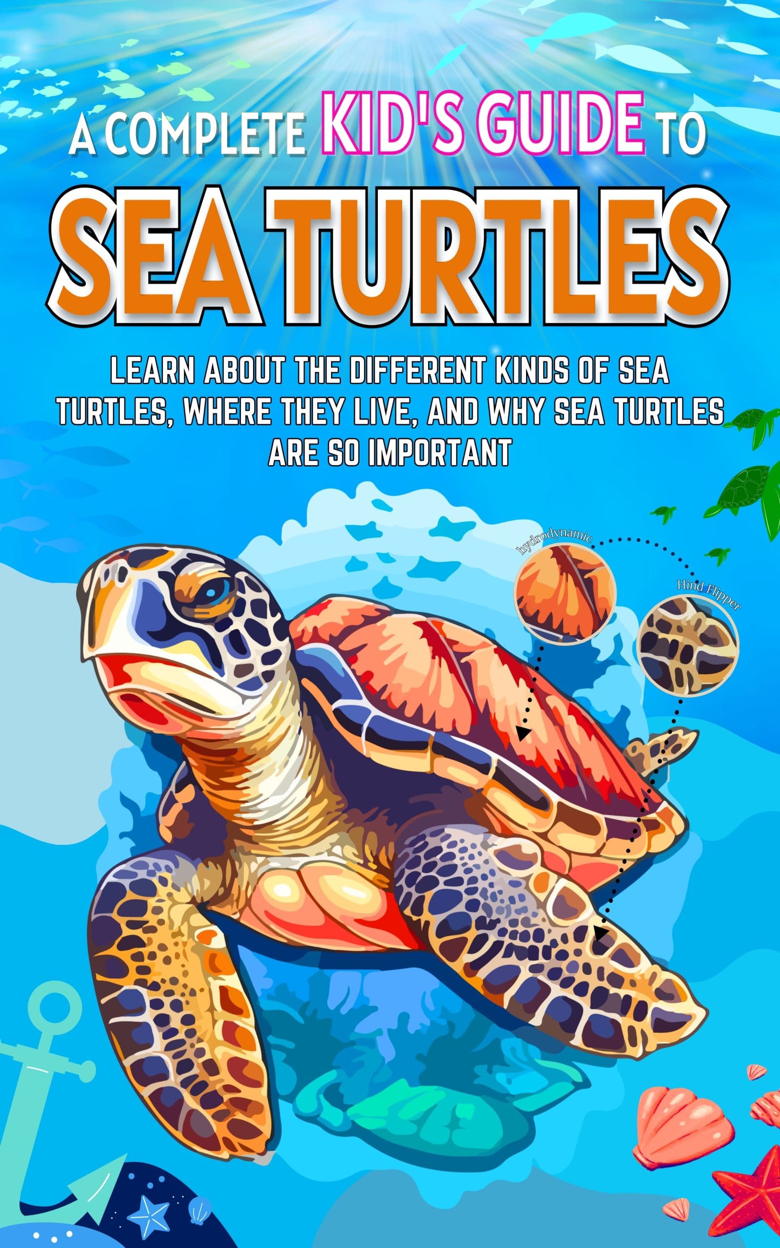 A Complete Kid’s Guide to Sea Turtles: Learn about the different types ...